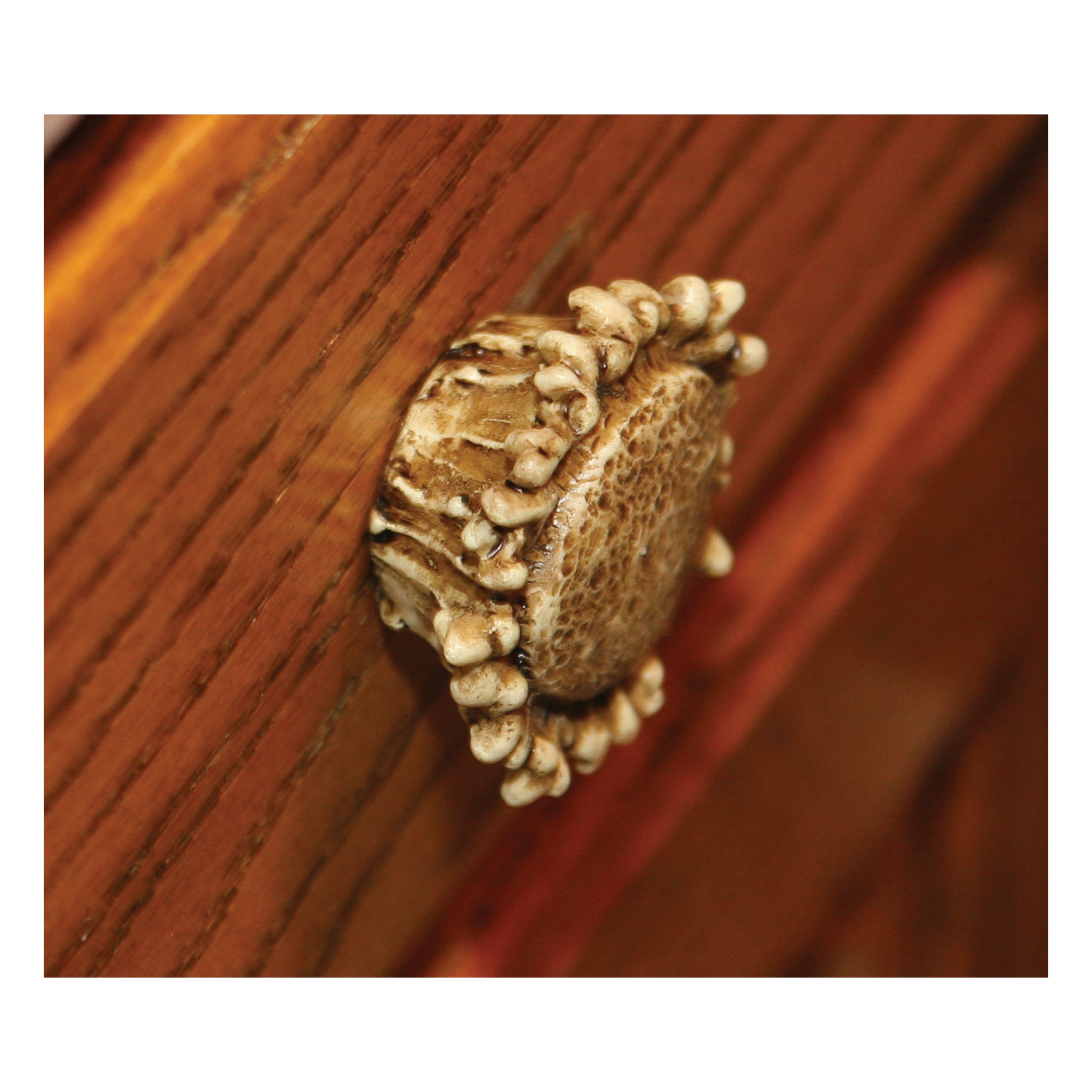 Drawer Cabinet Knobs 2-Pack-Antler - Outdoor Decor Enhancer – Rivers ...